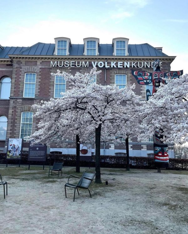 Leidengram | Musea en Galerijen in Leiden: Een Culturele Gids ...